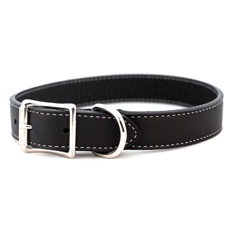 Italian Leather Dog Collar | Auburn Leathercrafters