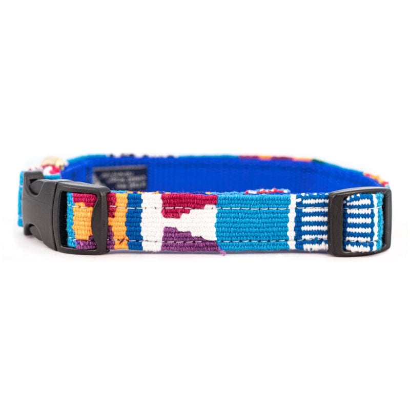 a tail we could wag Side-Release Dog Collar - Antigua - Auburn ...