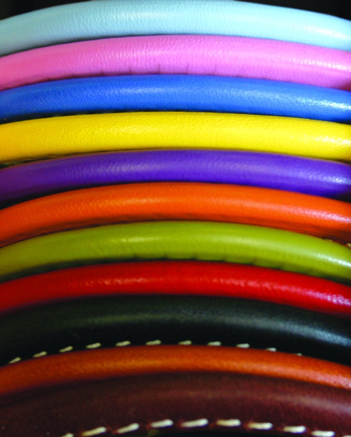 Rolled Leather Dog Leash | Buy Now | Auburn Leathercrafters