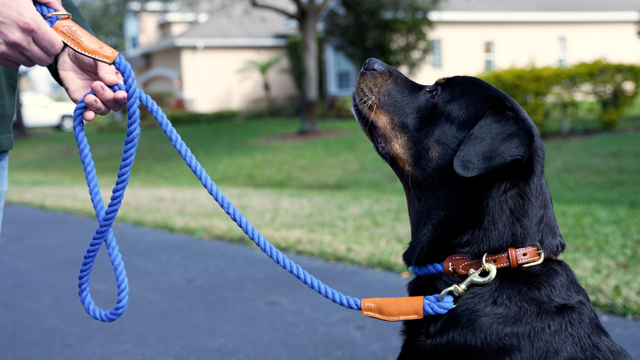 Cotton Rope Dog Leash | Buy Now | Auburn Leathercrafters