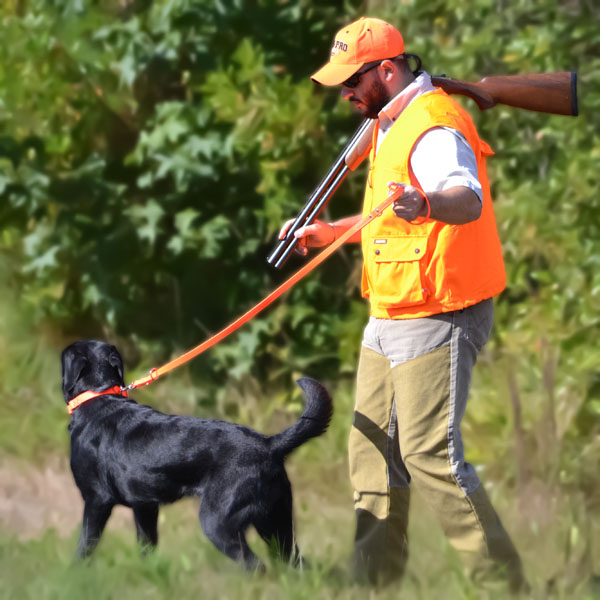 Hunting Dog Gear - Auburn Leathercrafters