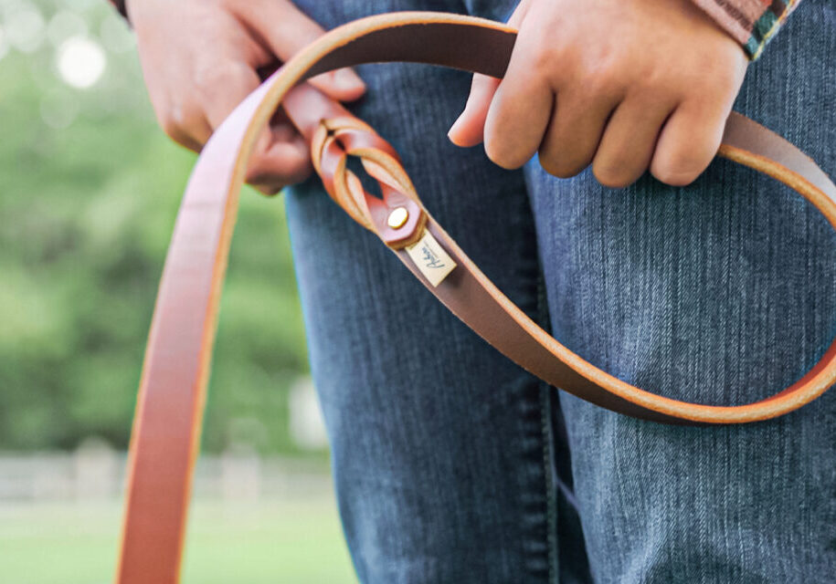 Leather Dog Leashes | 5 Amazing Things to Know | Auburn